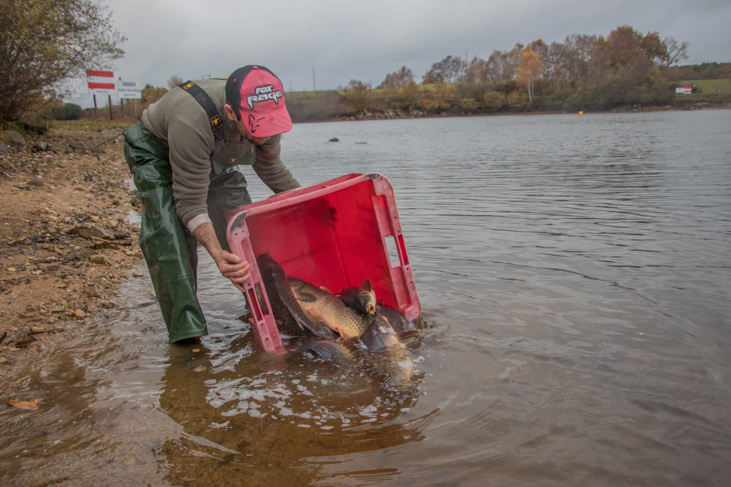 Les lâchers de poissons - Pêche Aveyron